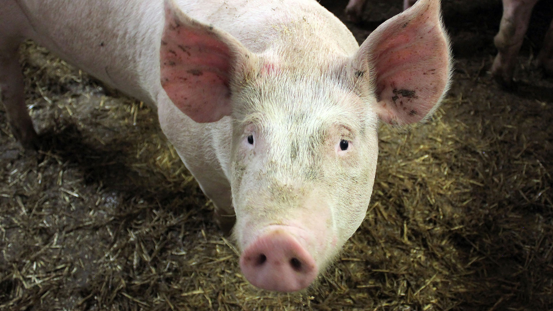 Tuotteet - D.O. Saimaa